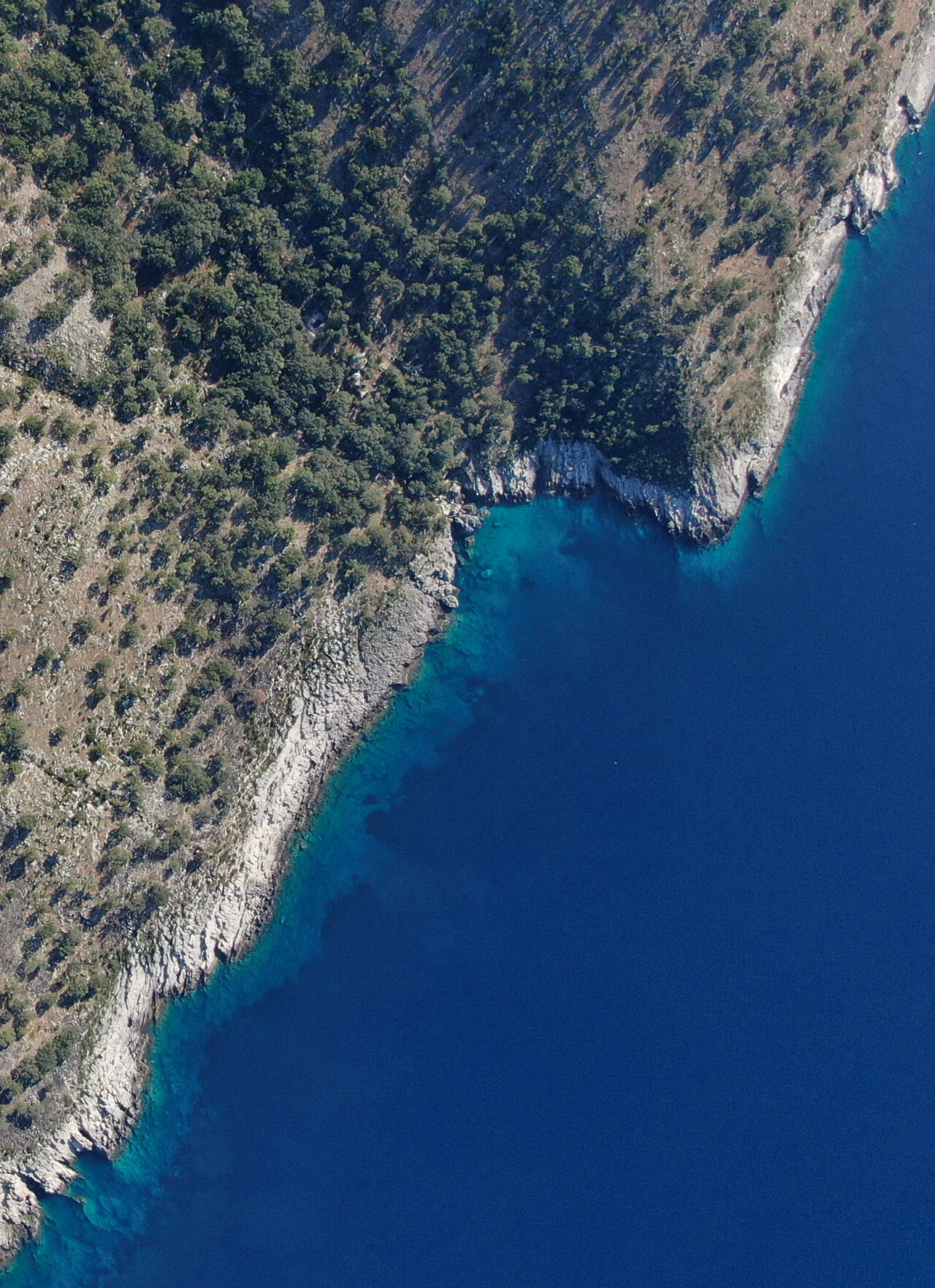 About the project - CAMP Otranto